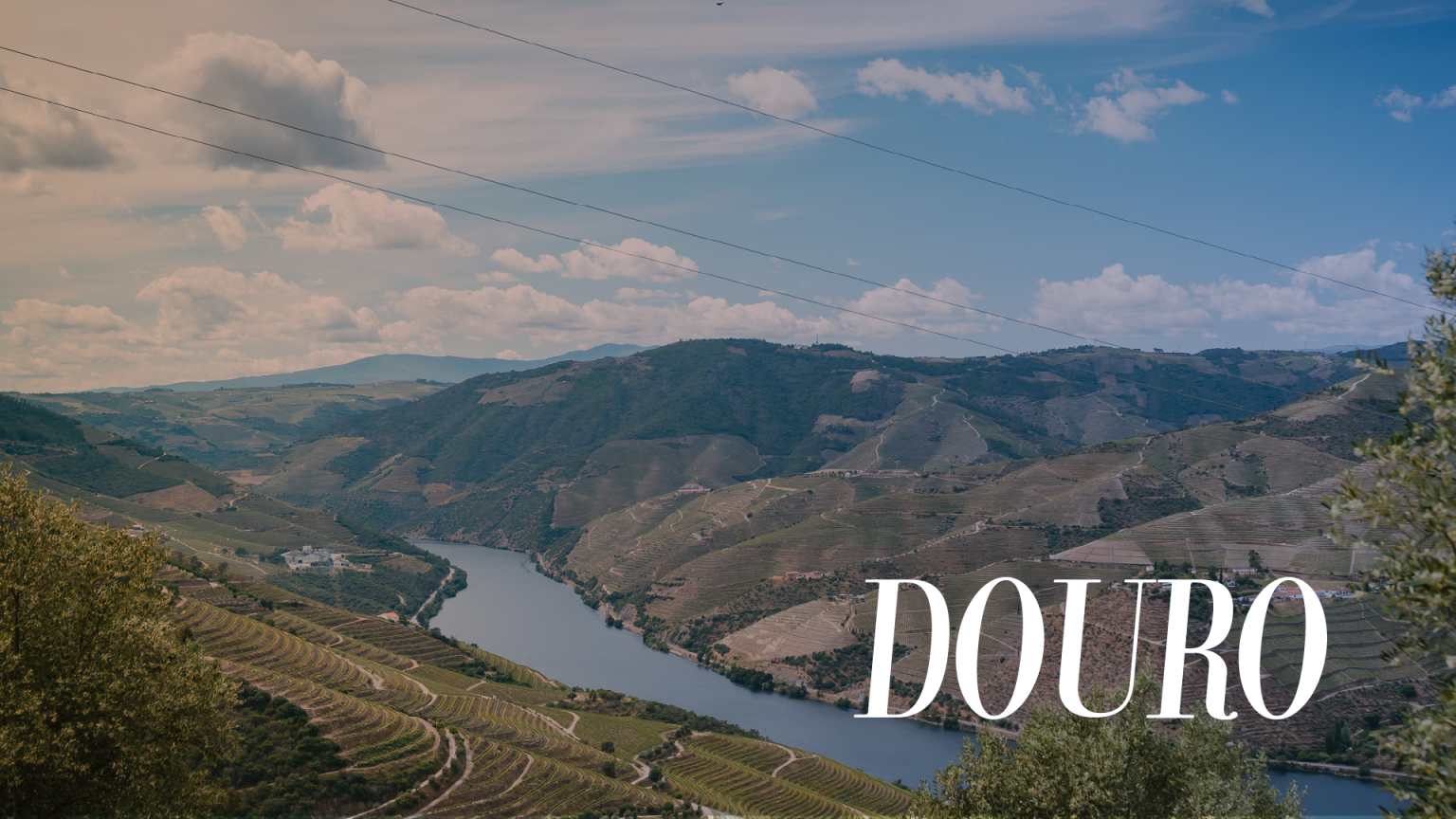Discover Douro - Discover Douro